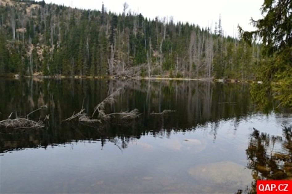 Tip na výlet: Pěší procházka na Prášilské jezero pro zkušené i ...