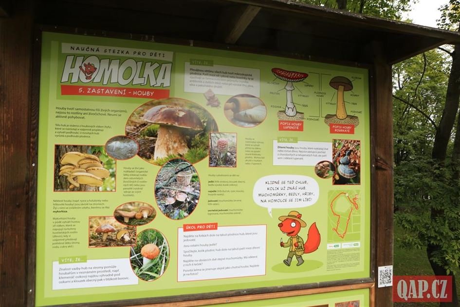 NS Homolka se dočkala obnovy, má nové interaktivní prvky a tabule ...